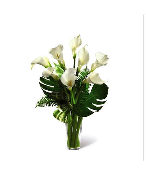 Flower Calla Lily Meaning